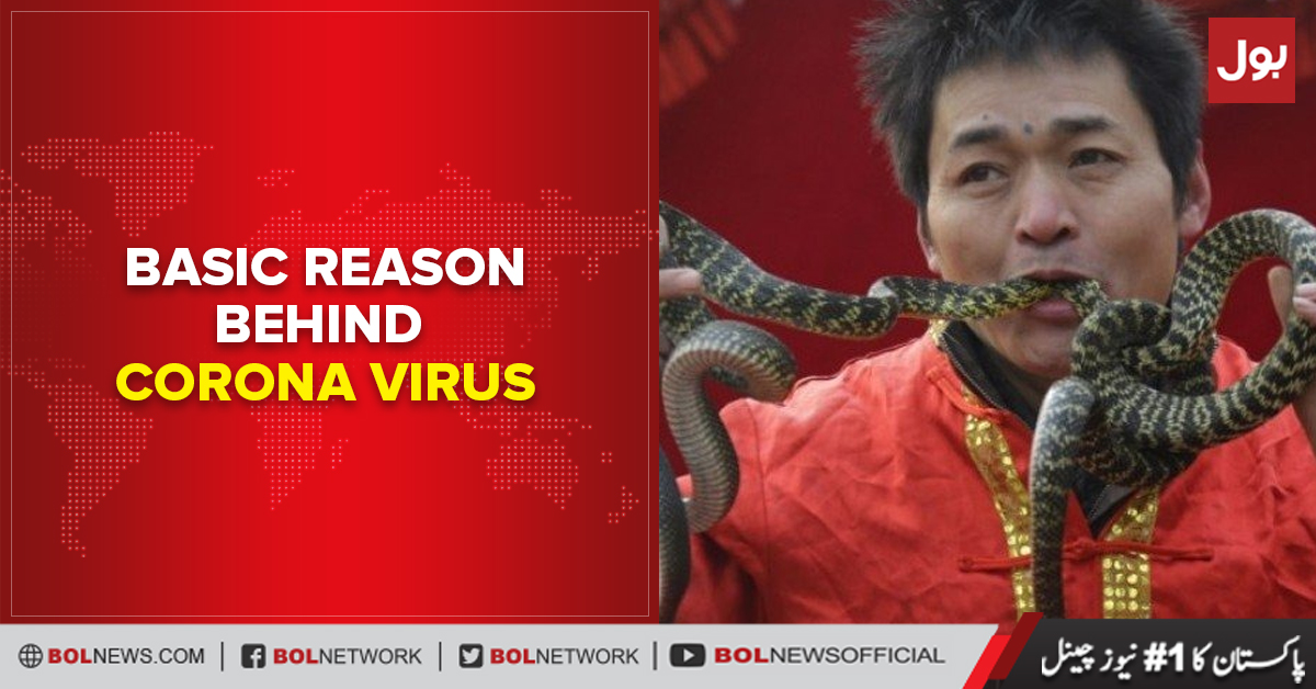Corona Virus - 2019-nCoV originates from snakes - BOL News