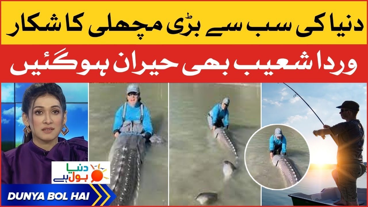 World Record Largest Fish Caught in Canada | Warda Shoaib | Dunya BOL ...