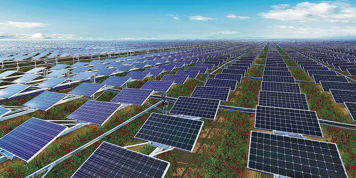 Proper planning to realise ‘dual carbon goals’ - BOL News