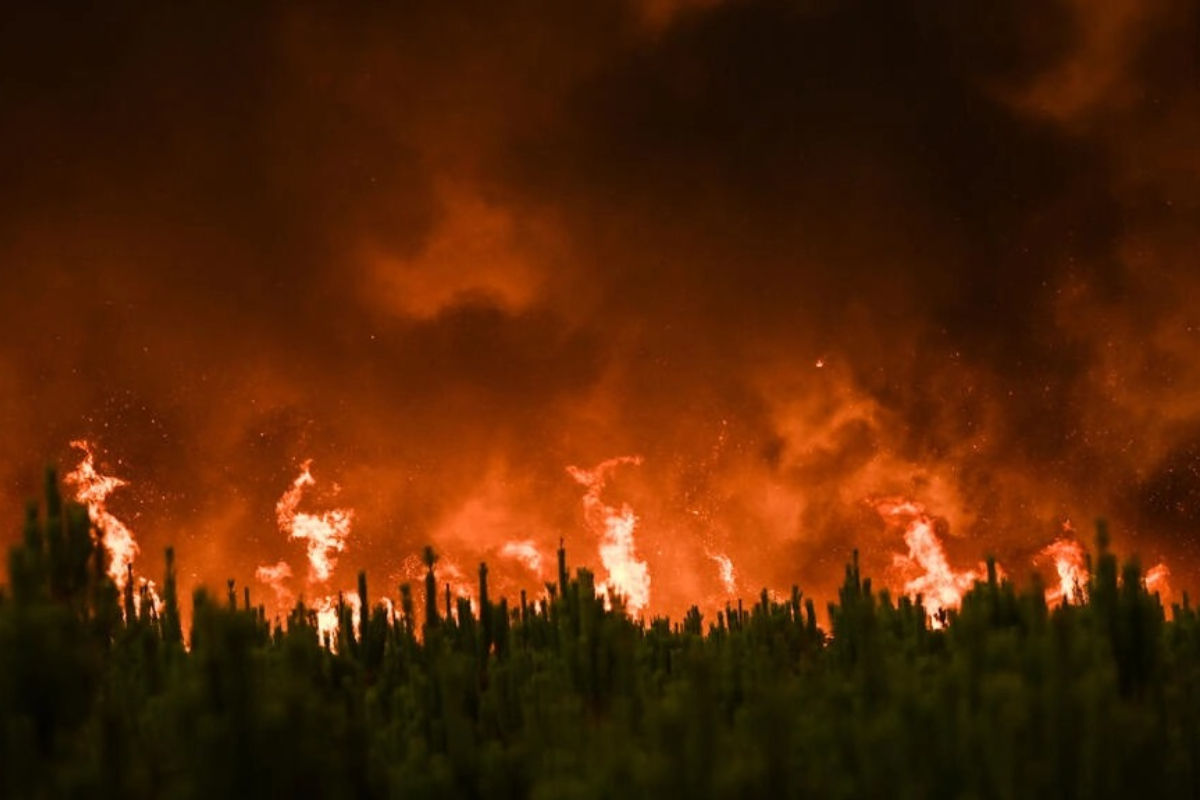 Climate change driving unprecedented forest fire loss