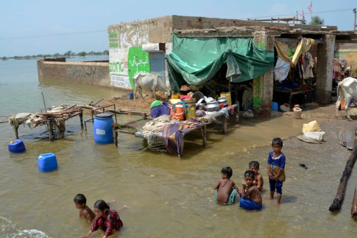 IRC warns of economic losses that would lead to food insecurity and ...