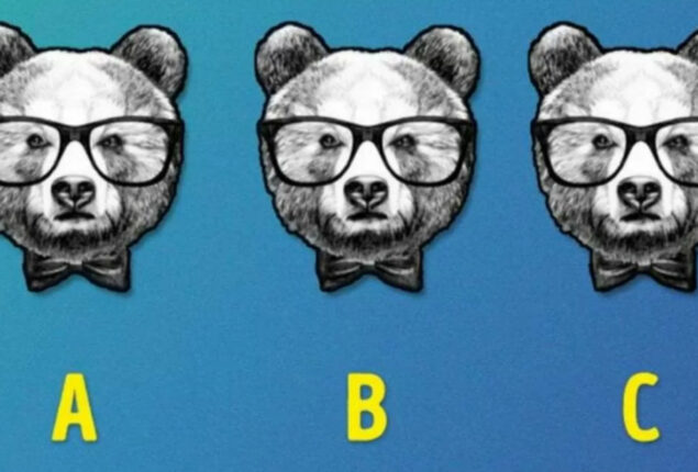 Brain Teaser: Can you spot the different bear in 7 seconds?