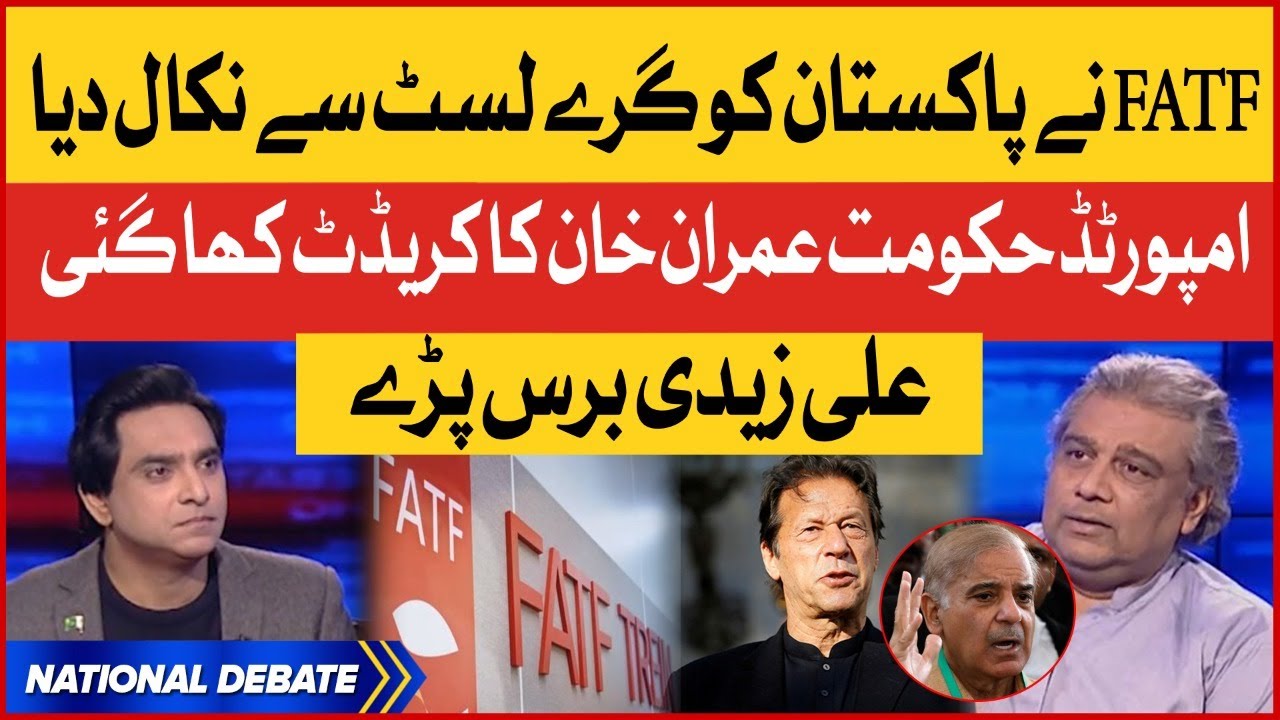 Ali Zaidi Statement | FATF Remove Pakistan From Grey List | Imran Khan vs PDM | Jameel Farooqui ...