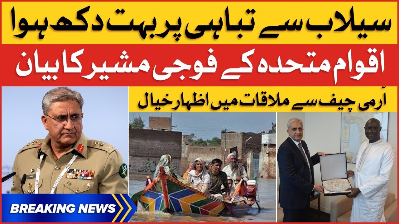 PAK Army Chief Meeting With UN Military Advisor | Saddened By The Flood ...