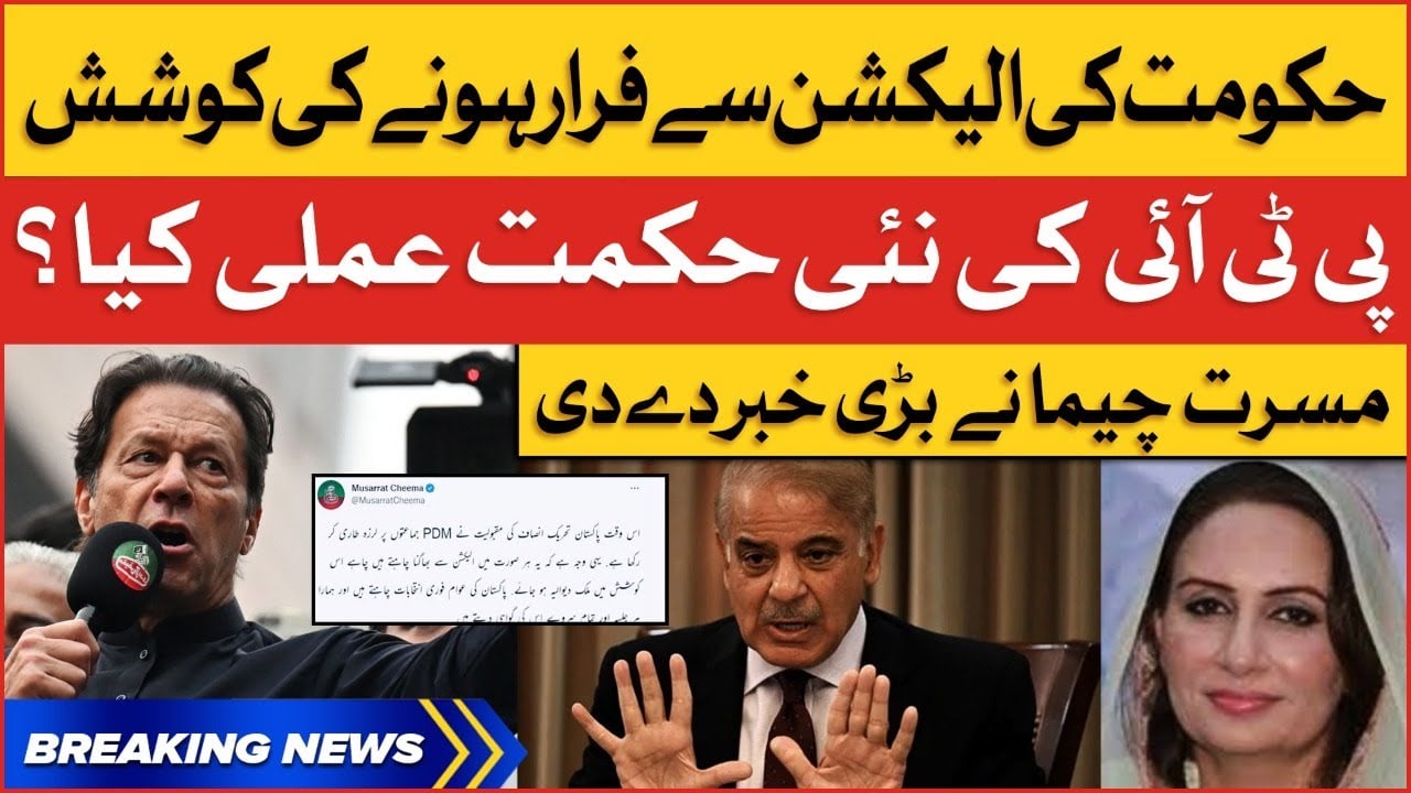 Musarrat Cheema Big Revelation | PTI vs PDM Govt | Breaking News - BOL News