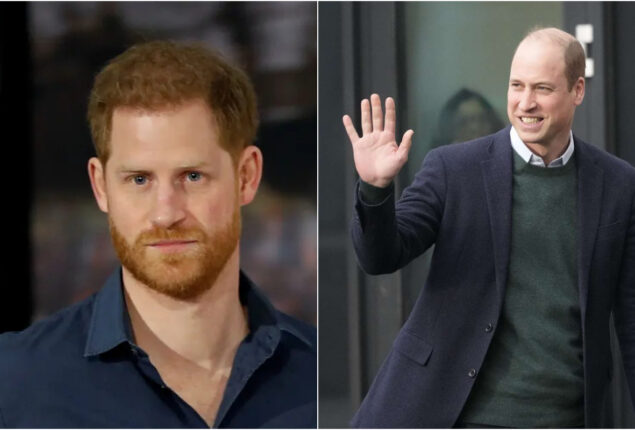Prince Harry is coming in "guns blazing" against Prince William