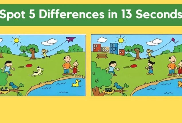 Spot The Difference Find 5 Differences Between Two Images