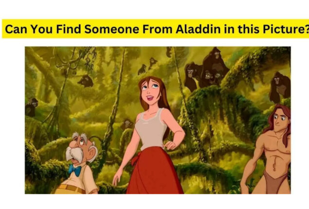 Brain Teaser: Find the Hidden Aladdin Character in 9 sec!