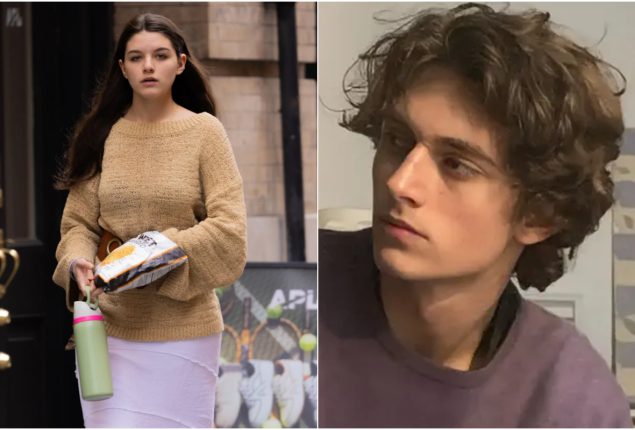 Toby Cohen - BOL News