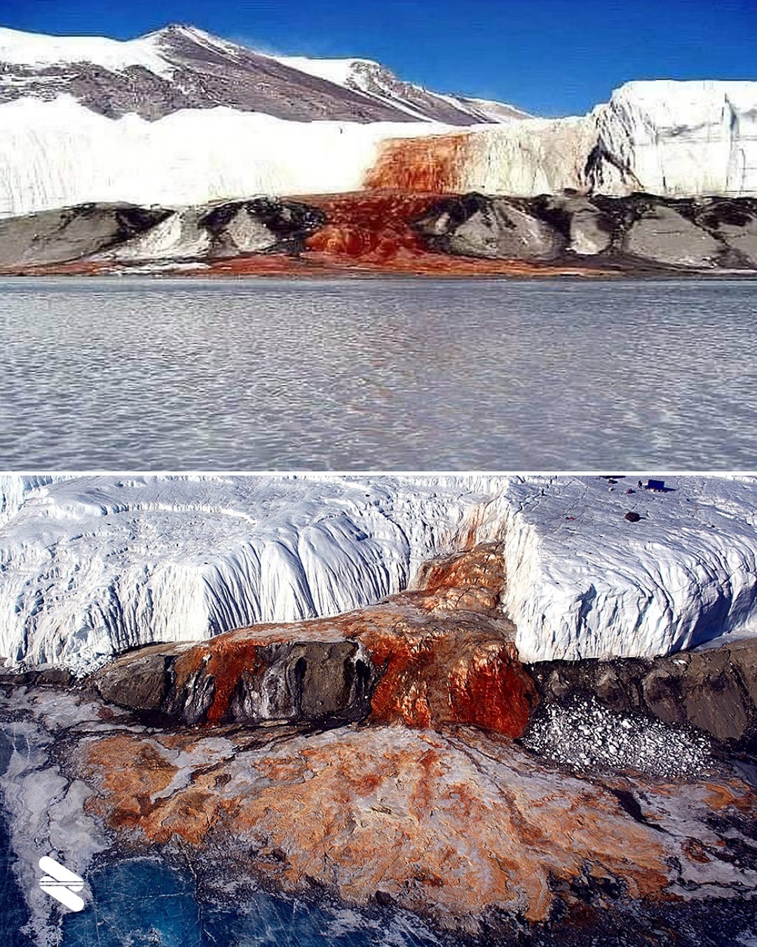 Watch: Antarctica’s Mysterious Blood Red Waterfall from ice glacier